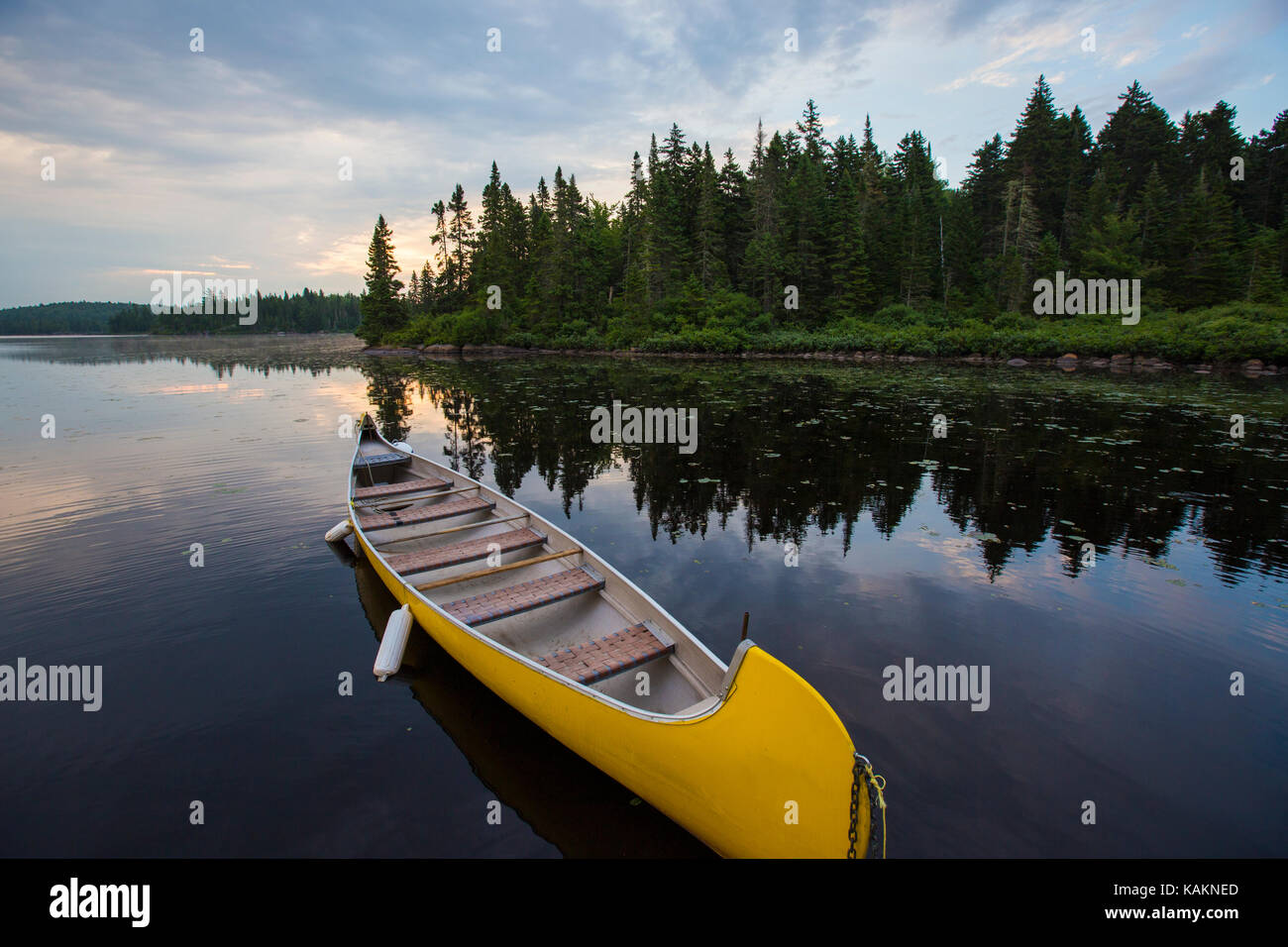 Canoe rabaska in Mauricie National Park Stock Photo - Alamy