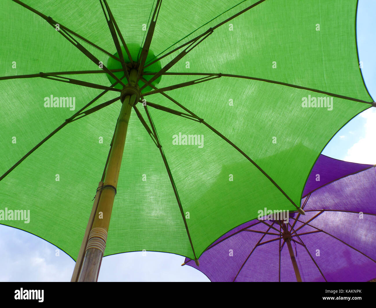 Two vibrant colored parasols, one green and one purple against sunny ...