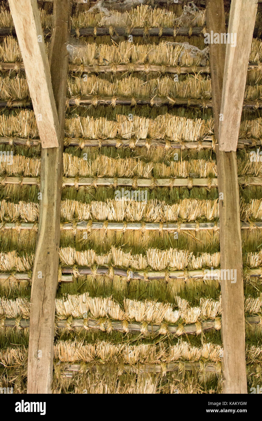 Inside of thatch roof hi-res stock photography and images - Alamy