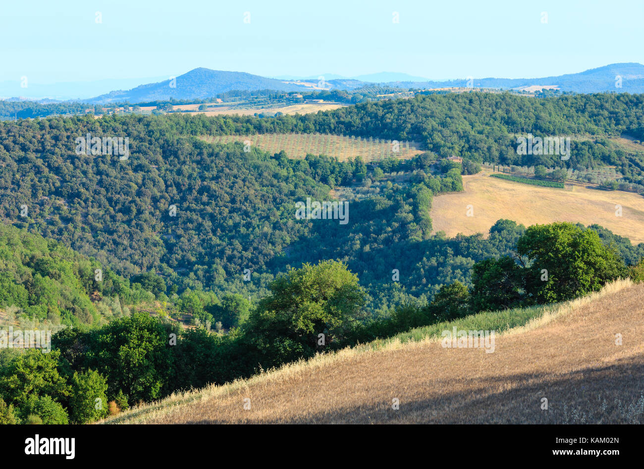 Beautiful summer morning countryside landscape in Montepulciano region ...