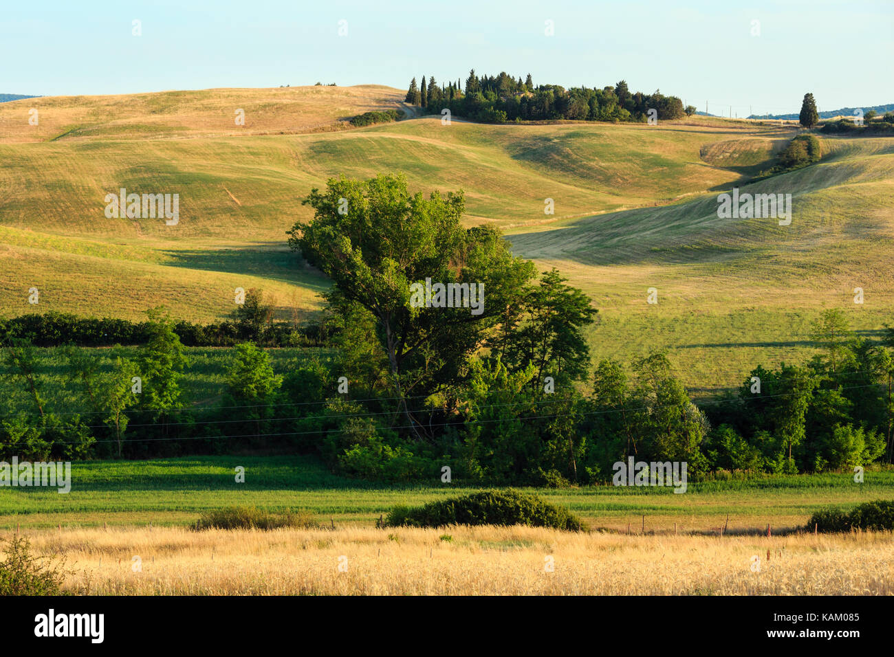 Beautiful landscape of Tuscany summer morning sunrise countryside in ...
