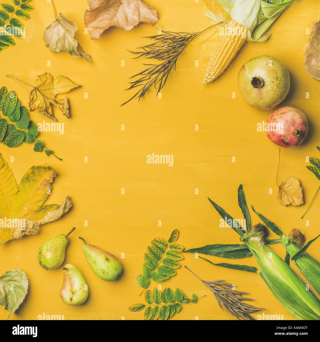 Fall background, texture, pattern, copy space Stock Photo - Alamy