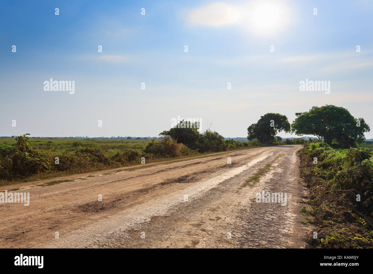Brazilian dirt road in perspective. Famous Brazilian Transpantaneira ...