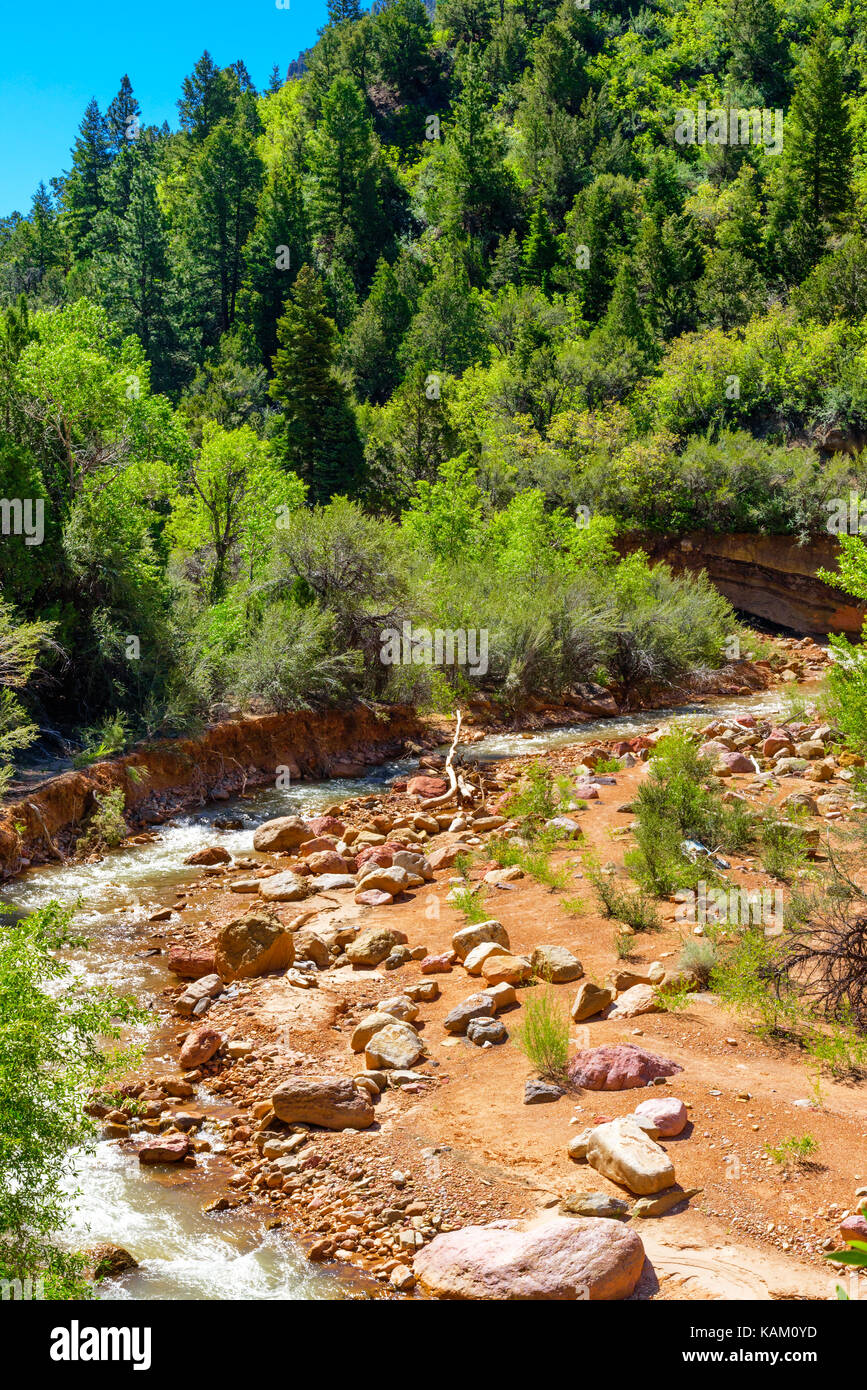 Natural stream bank hi-res stock photography and images - Alamy