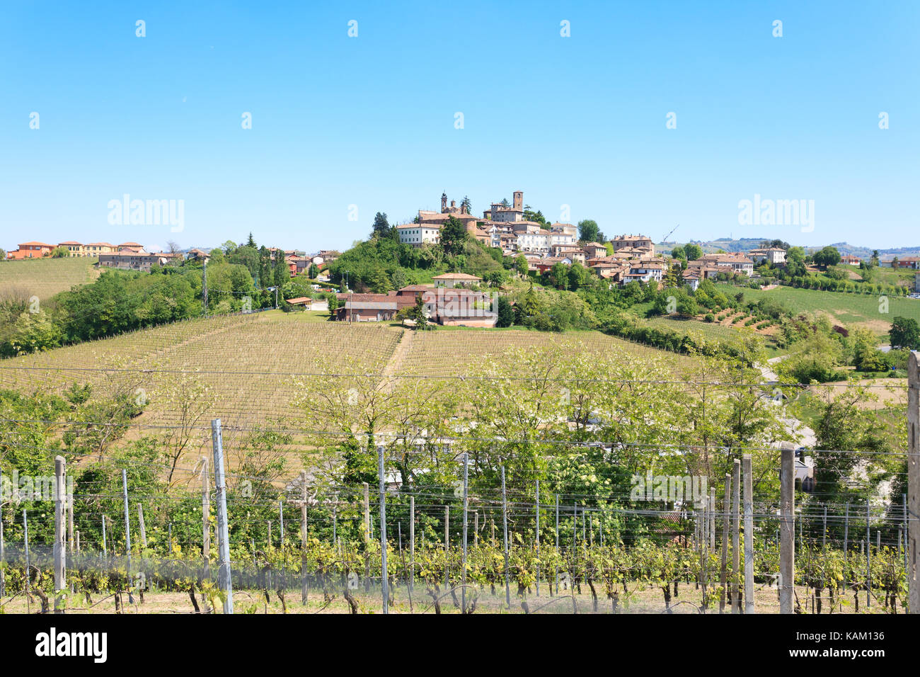 Beautiful Italian landscape. Vineyards from Langhe region,Italy ...