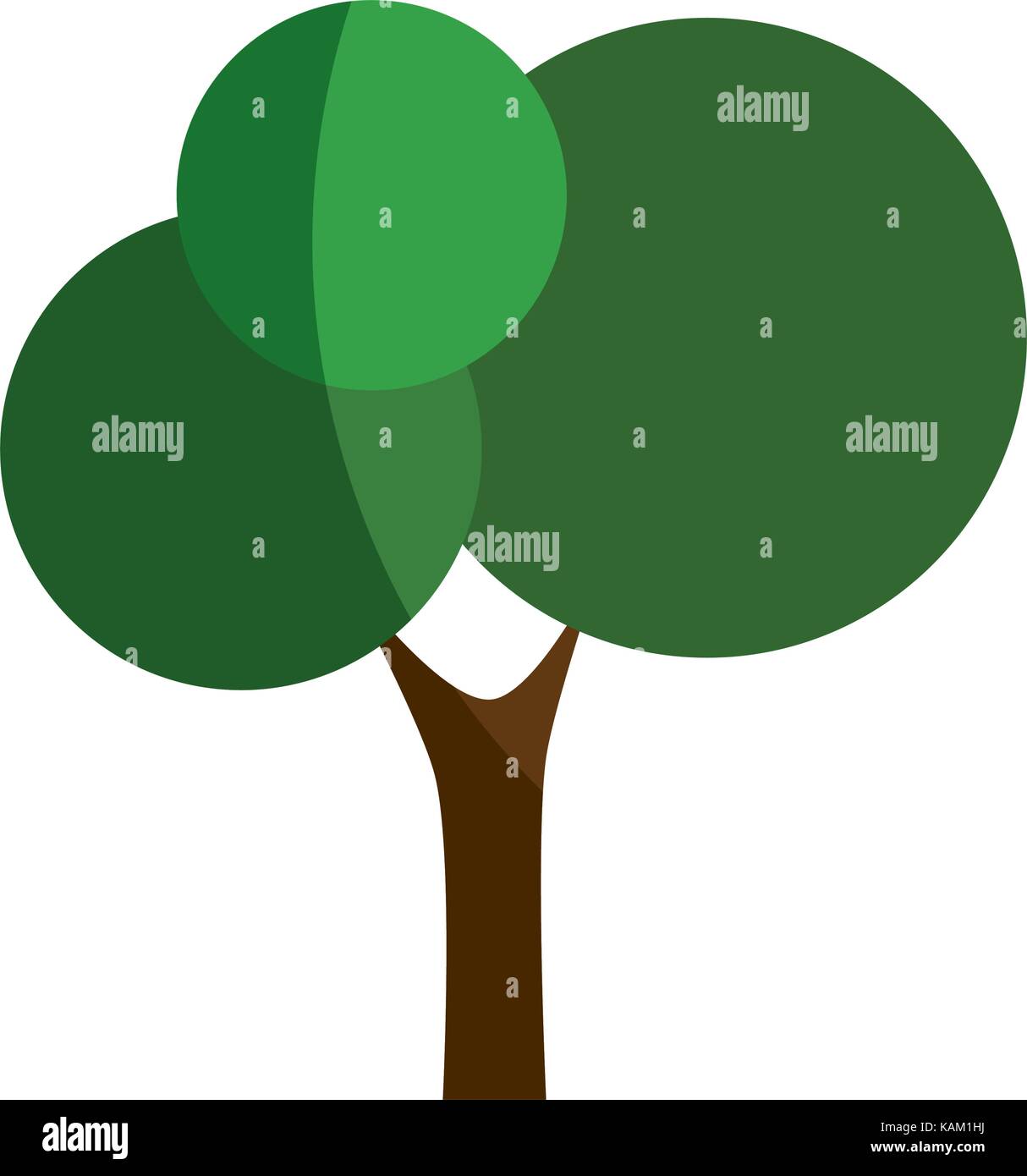 tree icon image Stock Vector Image & Art - Alamy