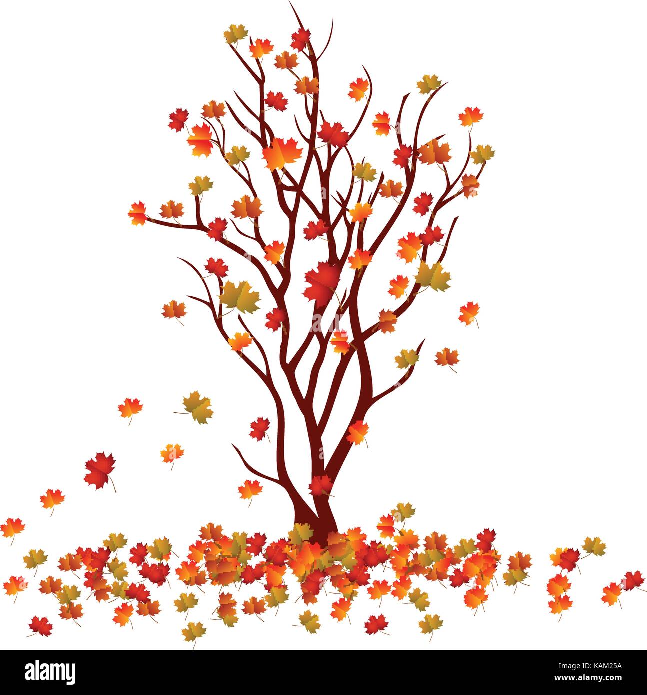 Autumn tree. Fall Leaves Background Stock Vector Image & Art - Alamy