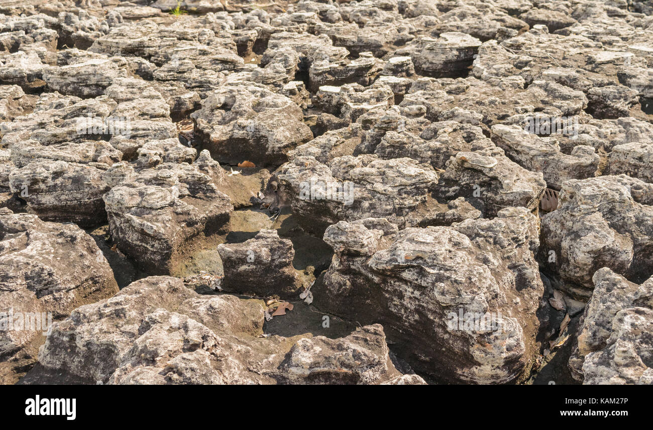 The rock was eroded by rain, wind, water, for make background texture ...