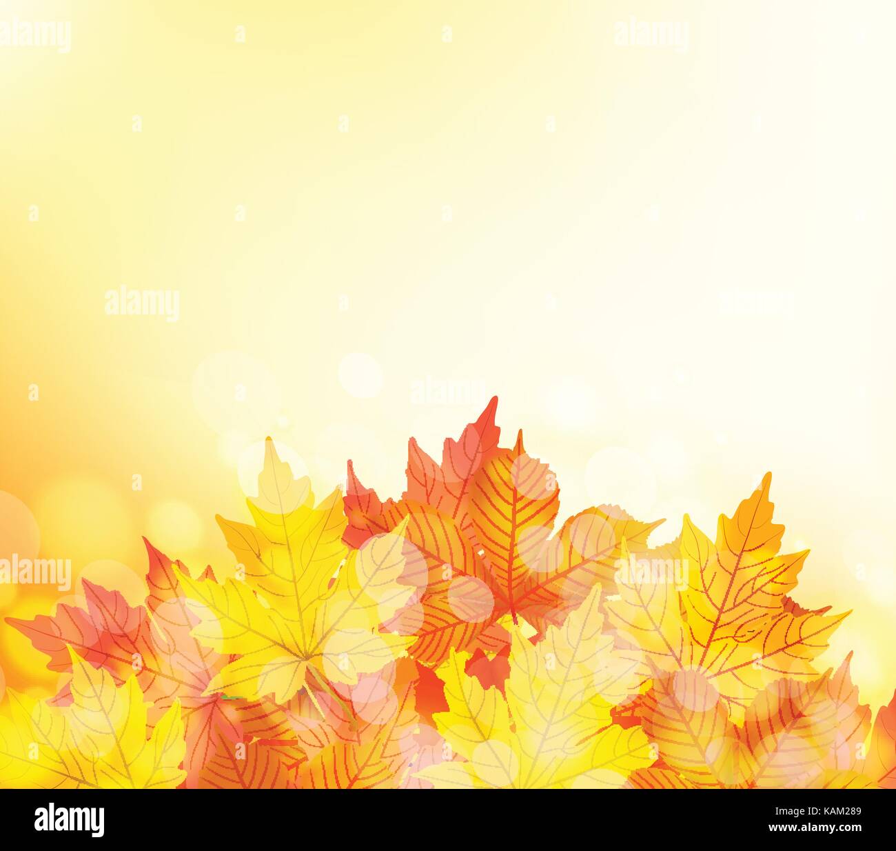 Autumn leaves background Stock Vector Image & Art - Alamy