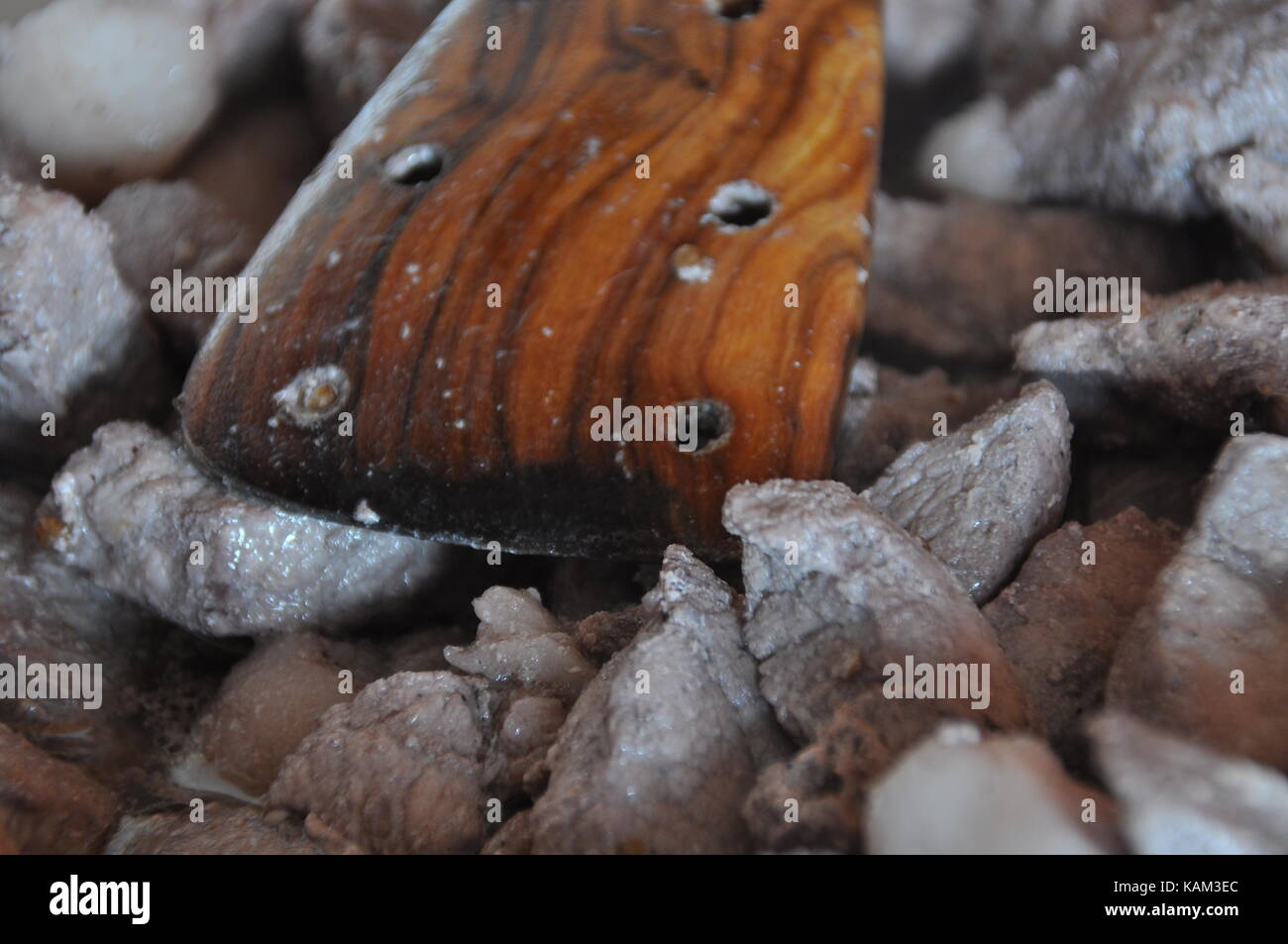 Afelia cyprus hi-res stock photography and images - Alamy