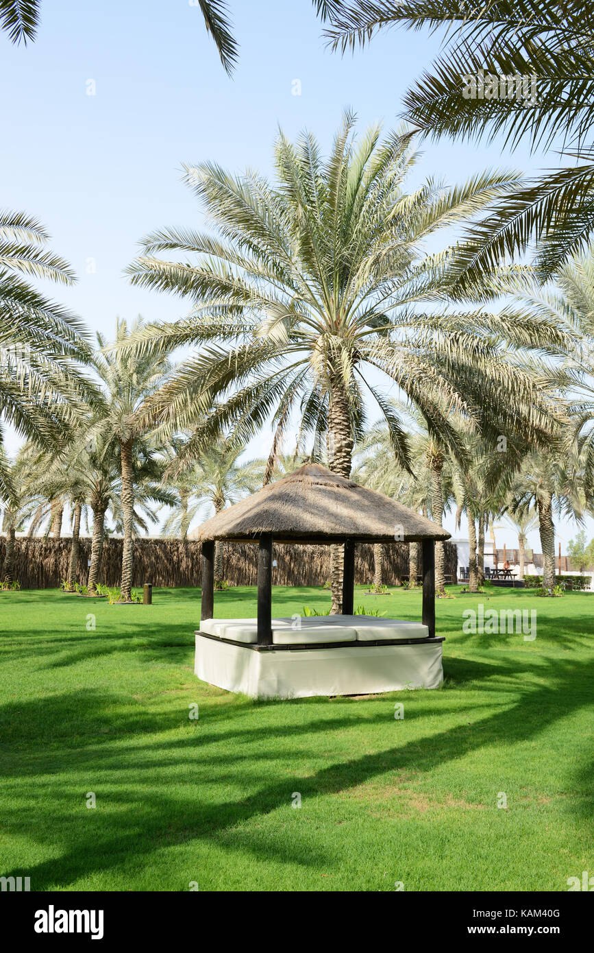The relaxation hut on a green lawn and palm tree shadows in luxury ...
