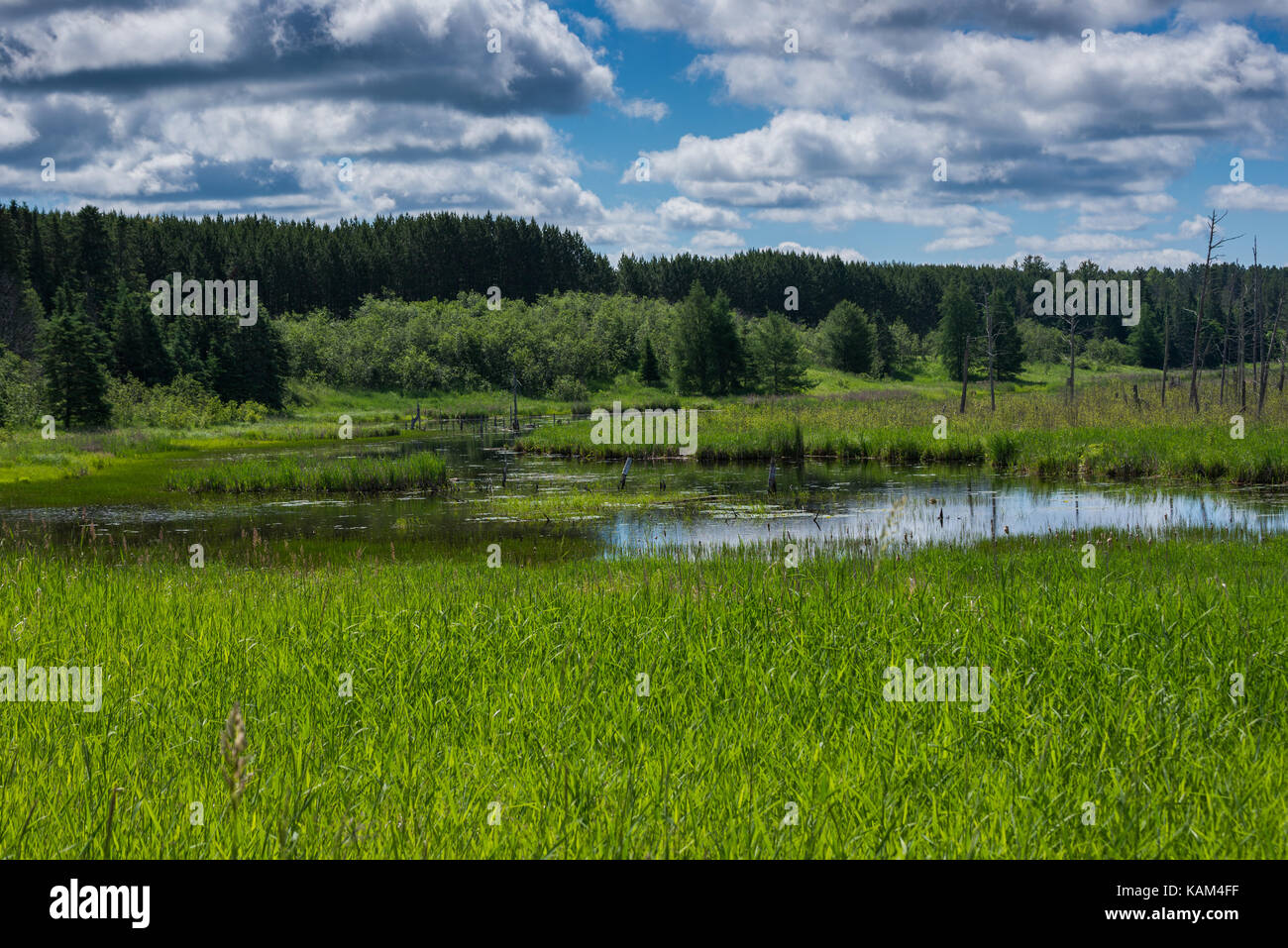 Minnesota moose lake hi-res stock photography and images - Alamy