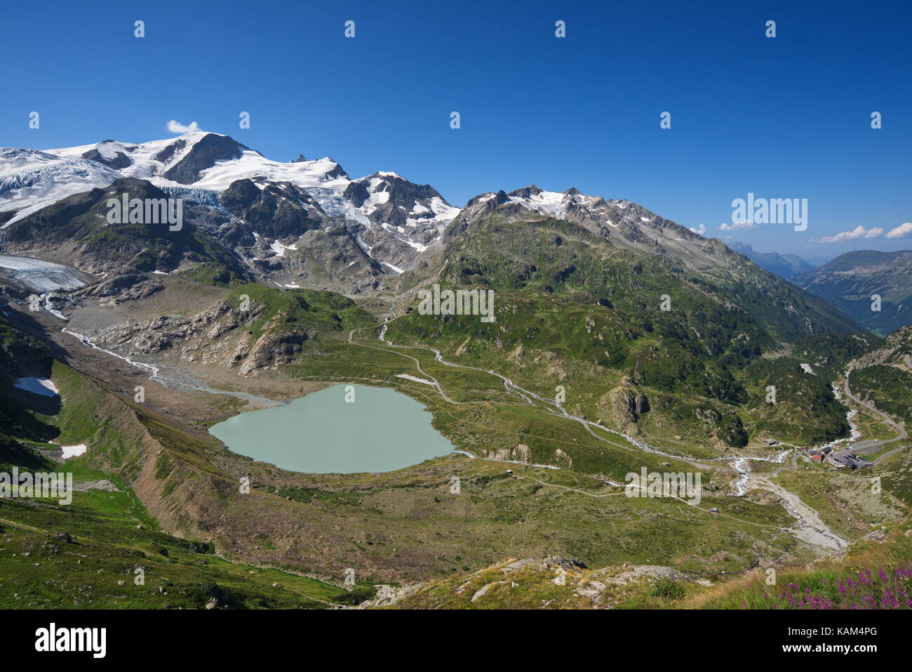 The Stein Glacier (German: Steingletscher) is a 4 km long glacier ...