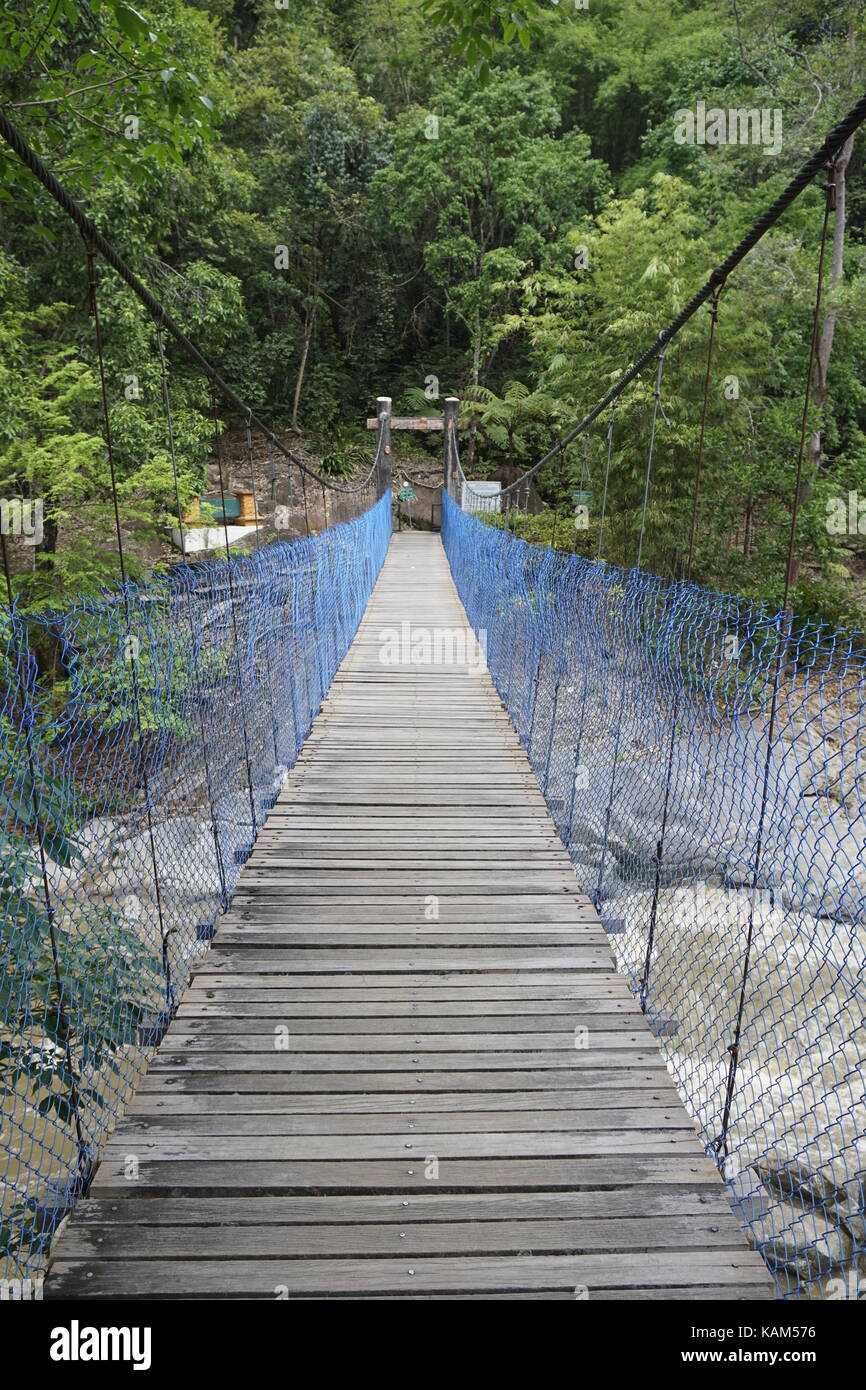 Wood Rope Bridge