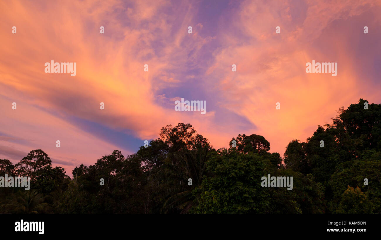 Vivid sunset clouds and trees Stock Photo - Alamy