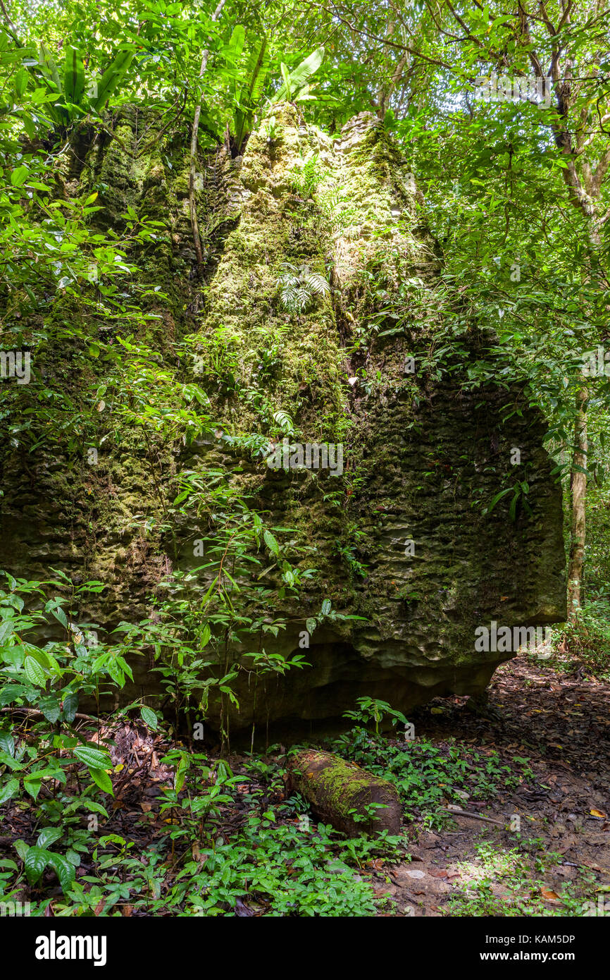 Stone boulder in rainforest Stock Photo - Alamy