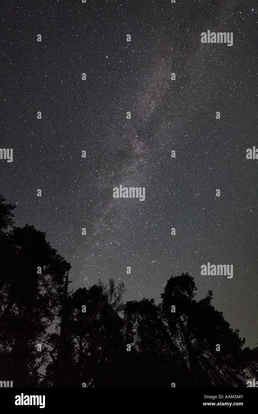 Milky way galaxy in clear starry night sky Stock Photo - Alamy