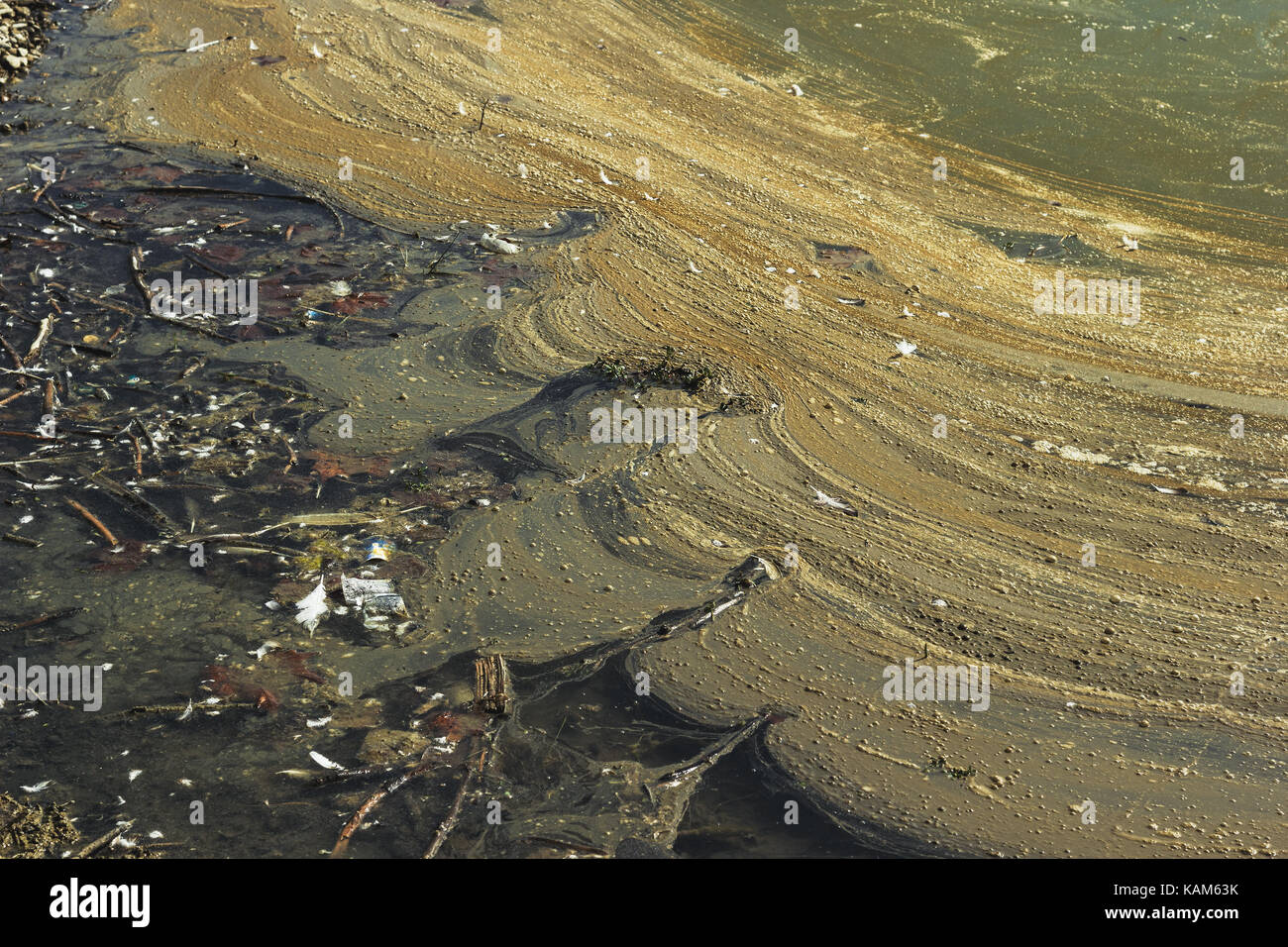 Water shore, polluted and full of garbage, muddy water Stock Photo - Alamy