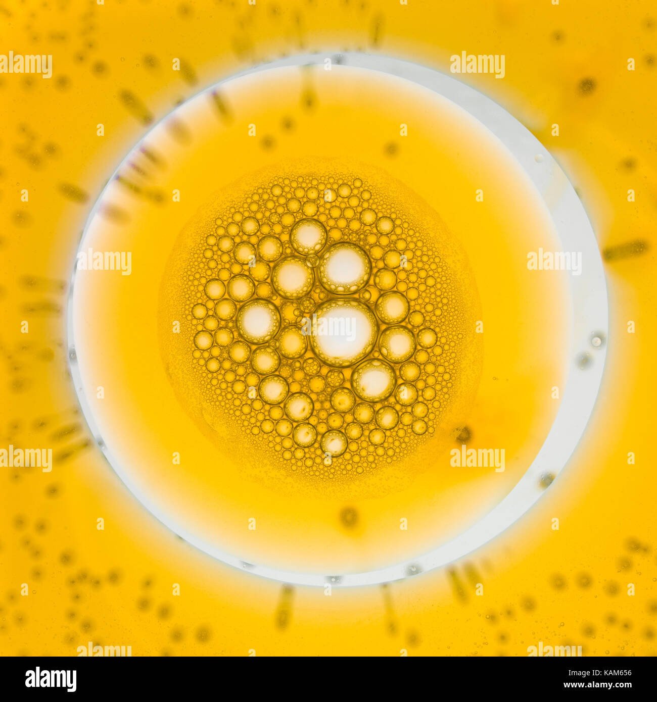 Detail of oil bubbles formed at the surface of water with predominant ...