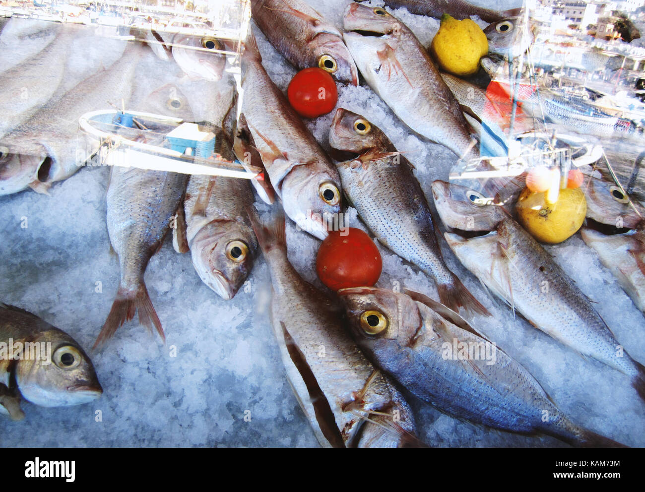 Fish store window hi-res stock photography and images - Alamy