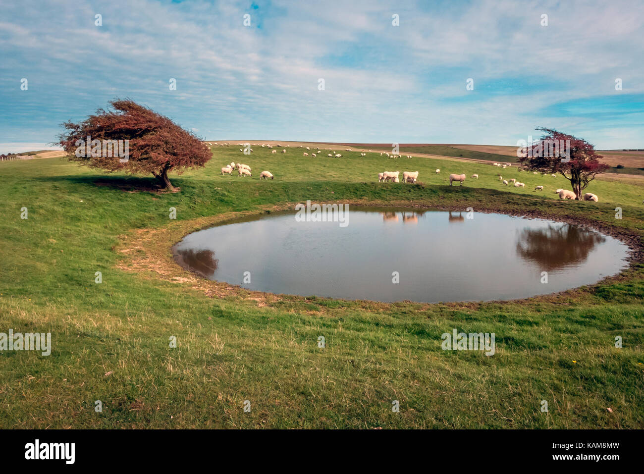 Dew pond near Ditchling Beacon Stock Photo - Alamy