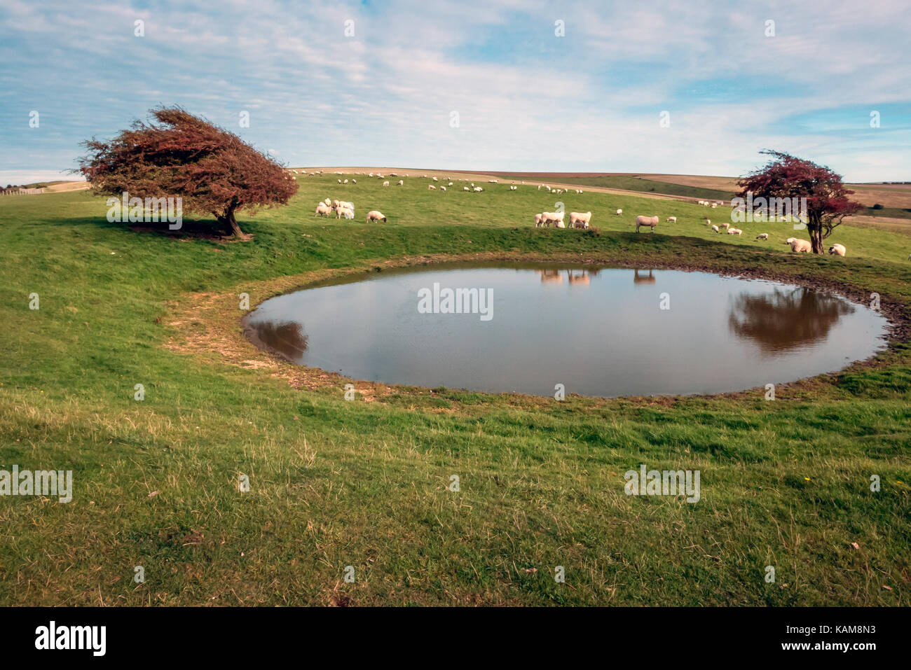 Ditchling beacon dew pond hi-res stock photography and images - Alamy