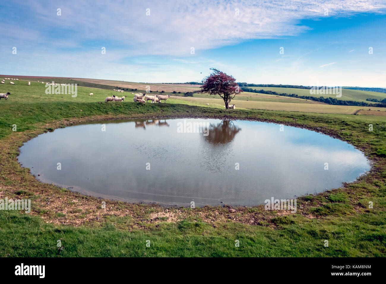 Dew pond near Ditchling Beacon Stock Photo - Alamy