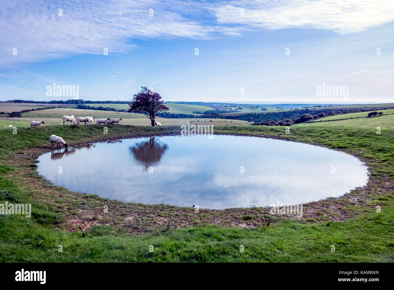 Dew pond near Ditchling Beacon Stock Photo - Alamy