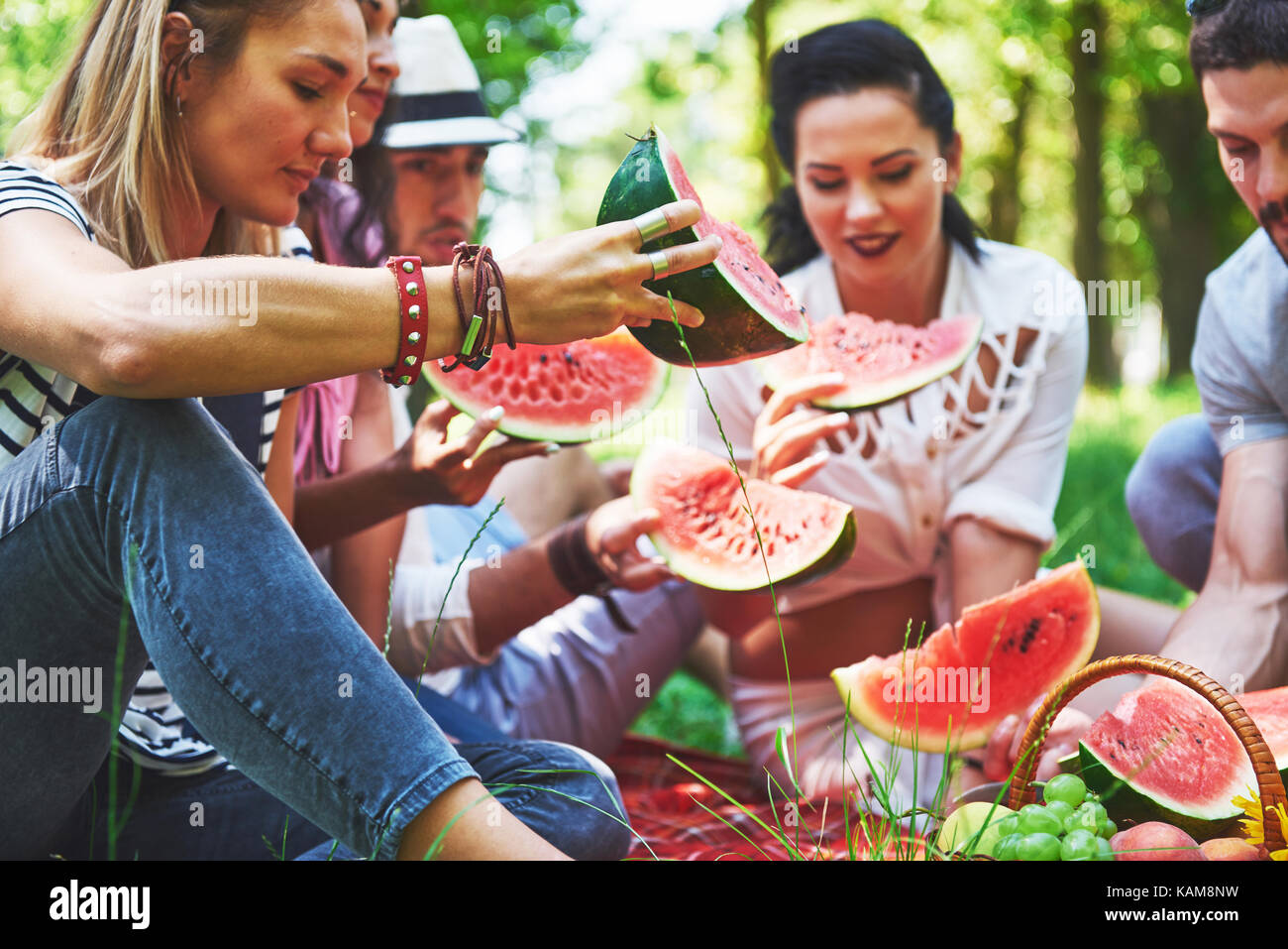 Group of friends having pic-nic in a park on a sunny day - People ...