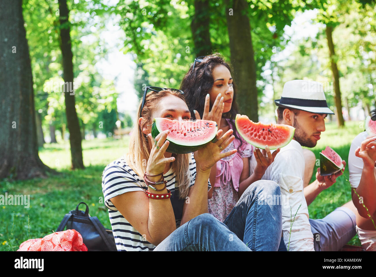 Group of friends having pic-nic in a park on a sunny day - People ...
