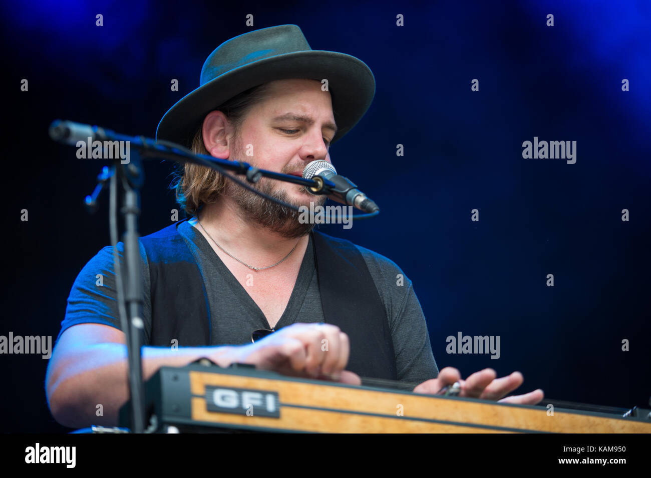 Pedal steel guitar hi-res stock photography and images - Alamy