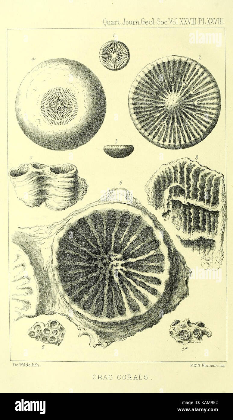 This illustration from 'The Quarterly Journal of the Geological Society ...