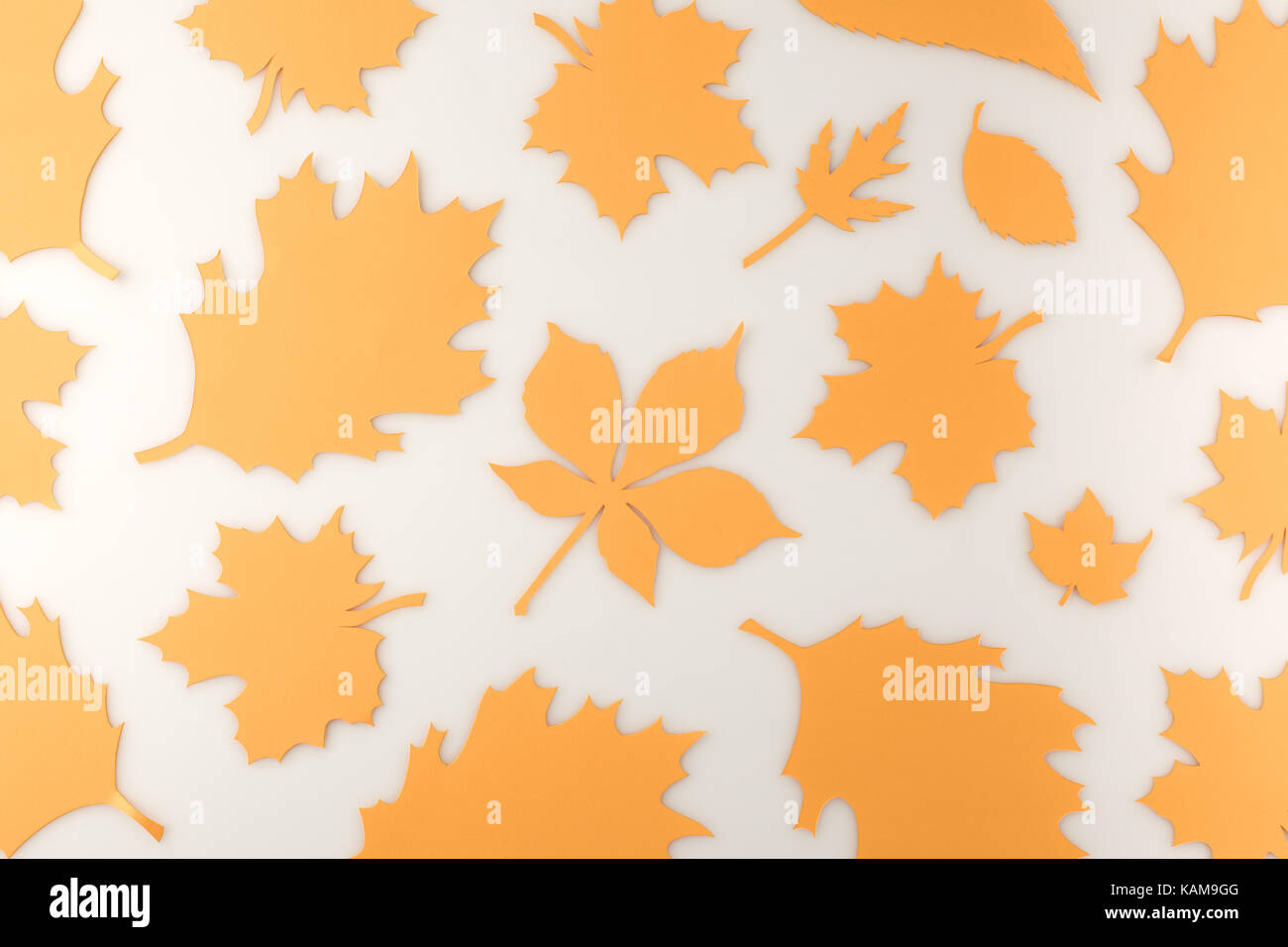 composition of various autumn leaves Stock Photo - Alamy