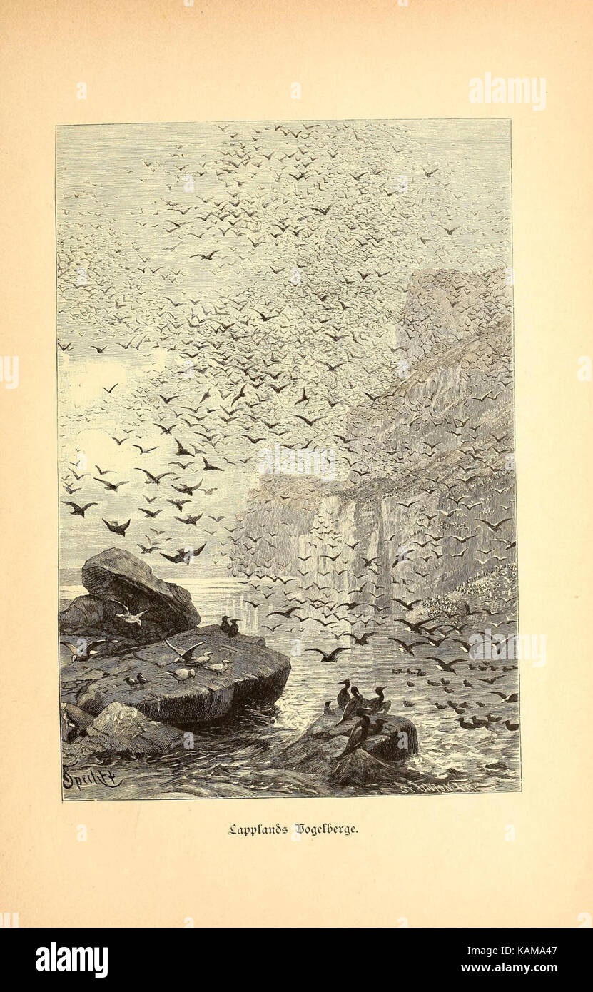 Aequator hi-res stock photography and images - Alamy