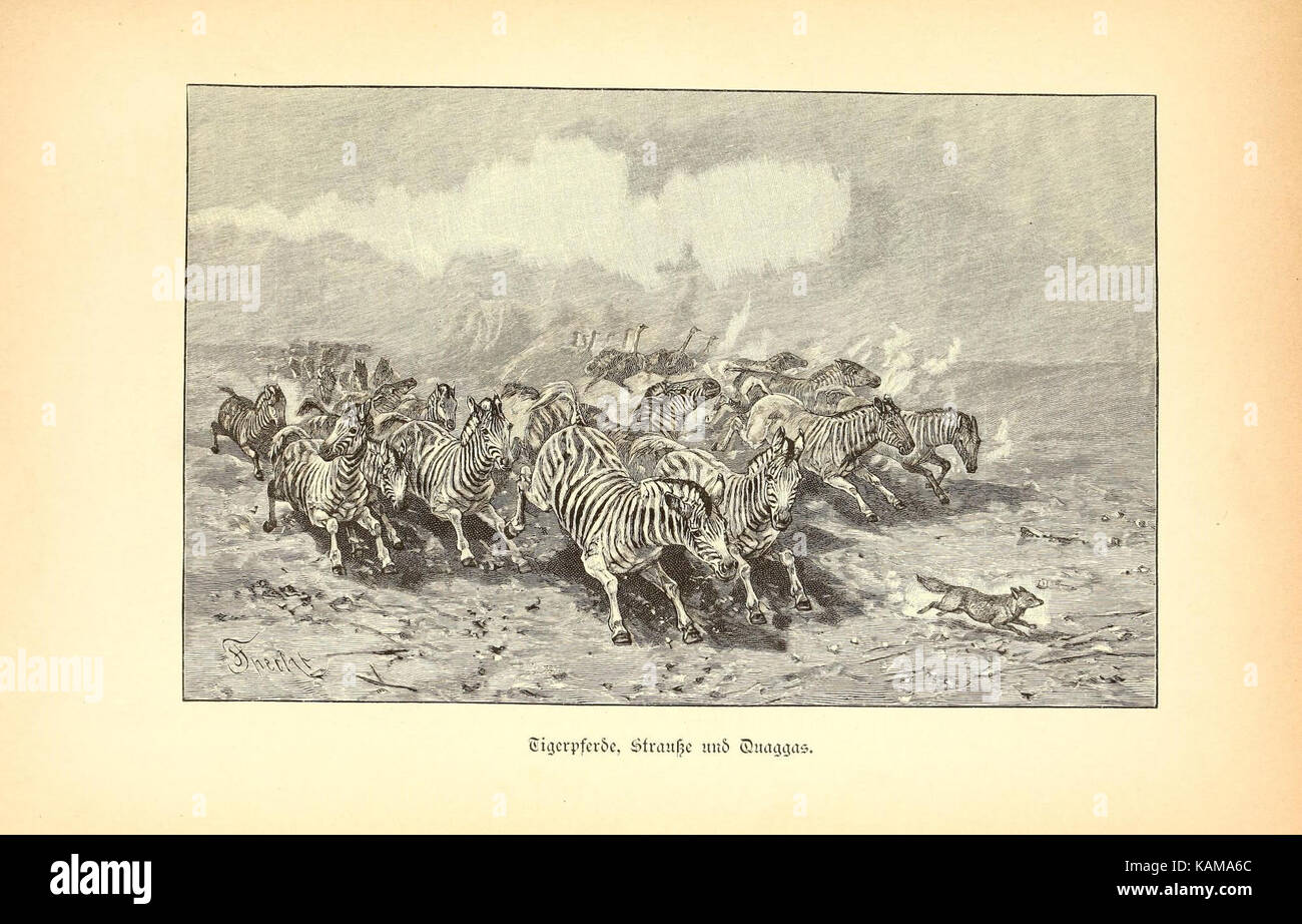 Vom Nordpol zum Aequator (11874980086 Stock Photo - Alamy