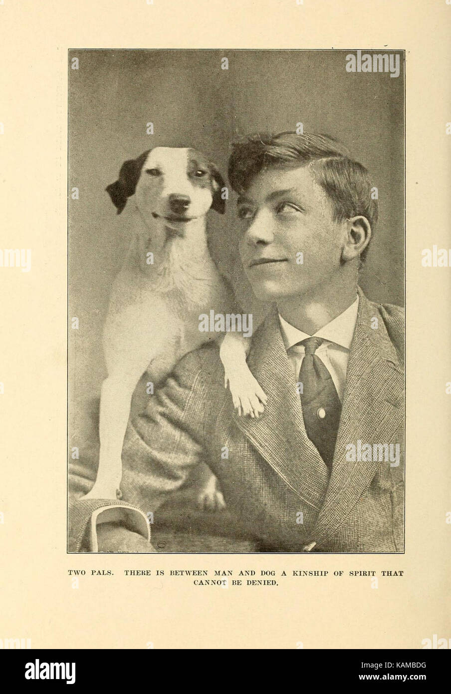 The human side of animals (7409133060 Stock Photo - Alamy