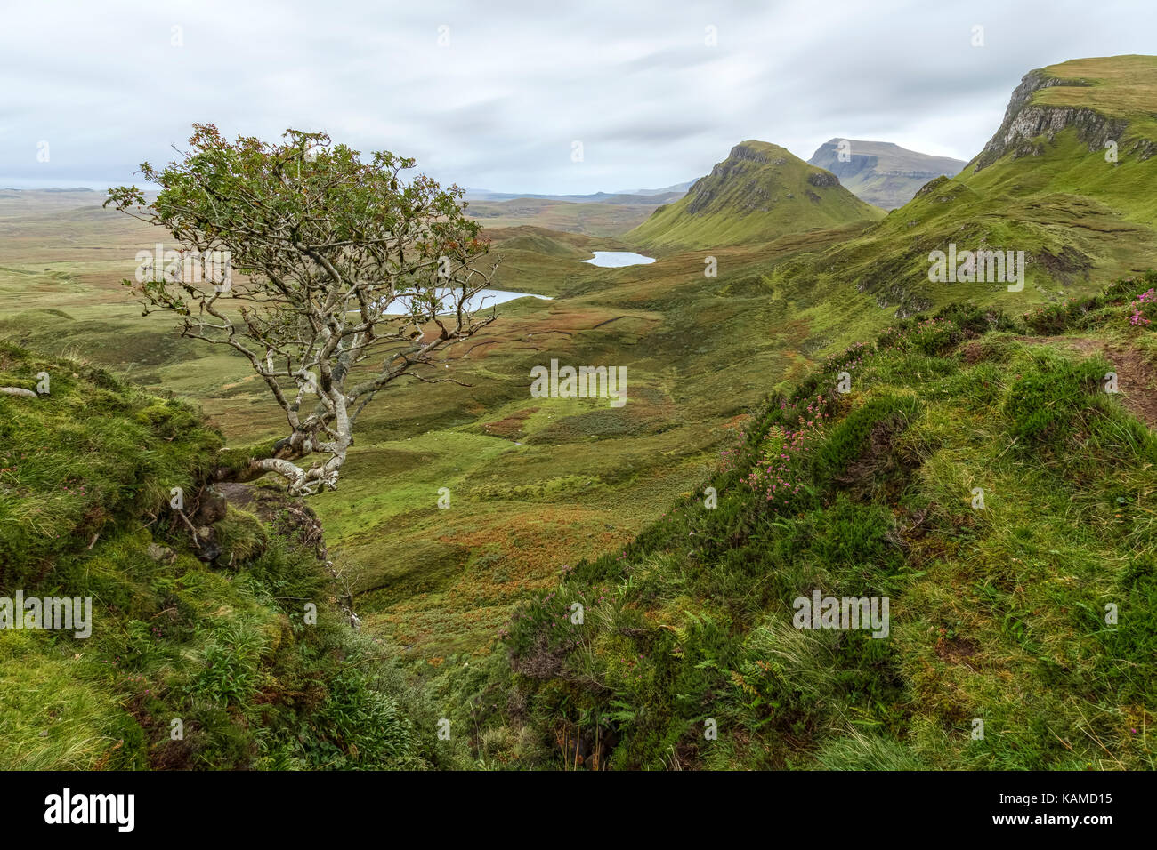 Quiraing, Isle of Skye, Scotland, United Kingdom Stock Photo - Alamy