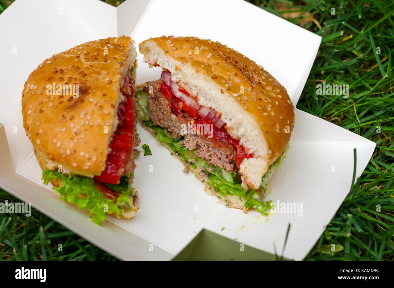 Hamburger parts hi-res stock photography and images - Alamy