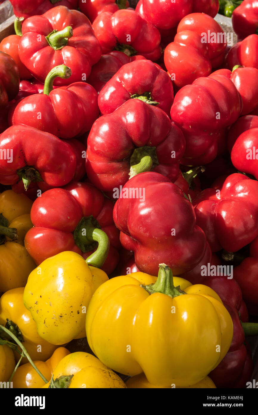 Market union square hi-res stock photography and images - Alamy