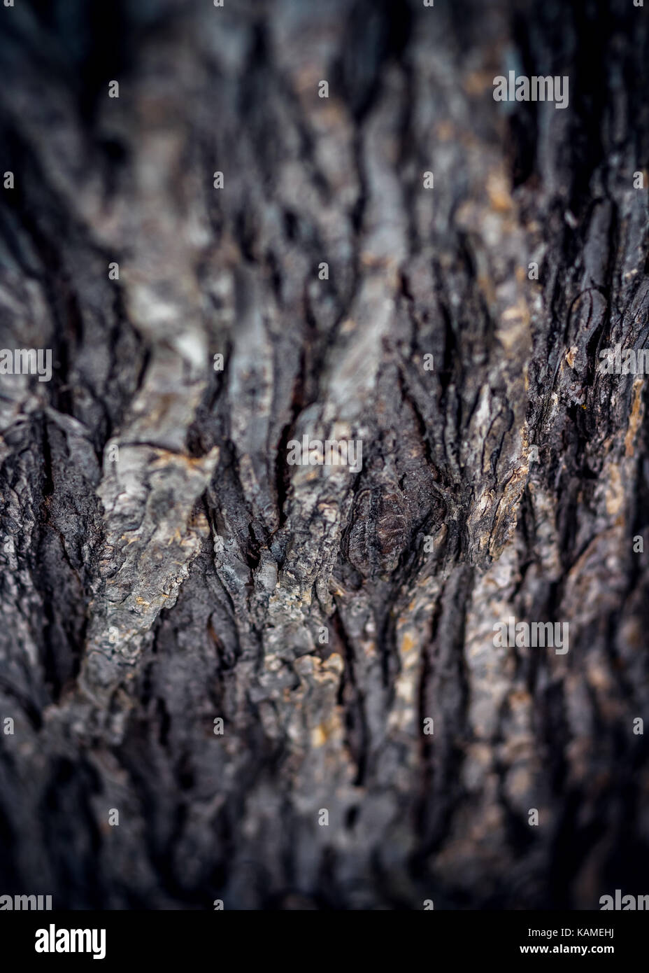 High resolution wallpaper texture hi-res stock photography and images ...