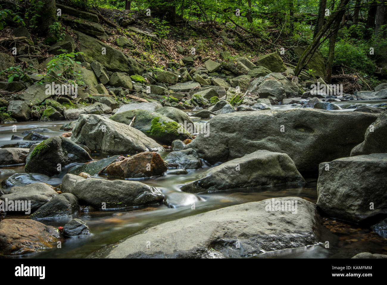 rivers flowing through the forest Stock Photo - Alamy