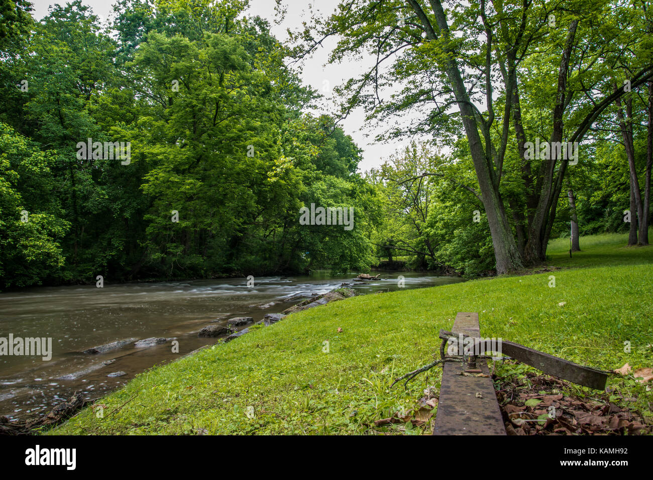 River flowing through forest hi-res stock photography and images - Alamy
