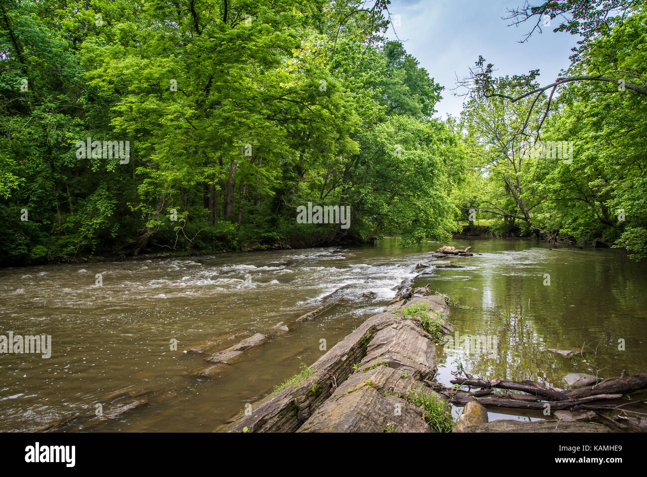 river flowing through forest Stock Photo - Alamy