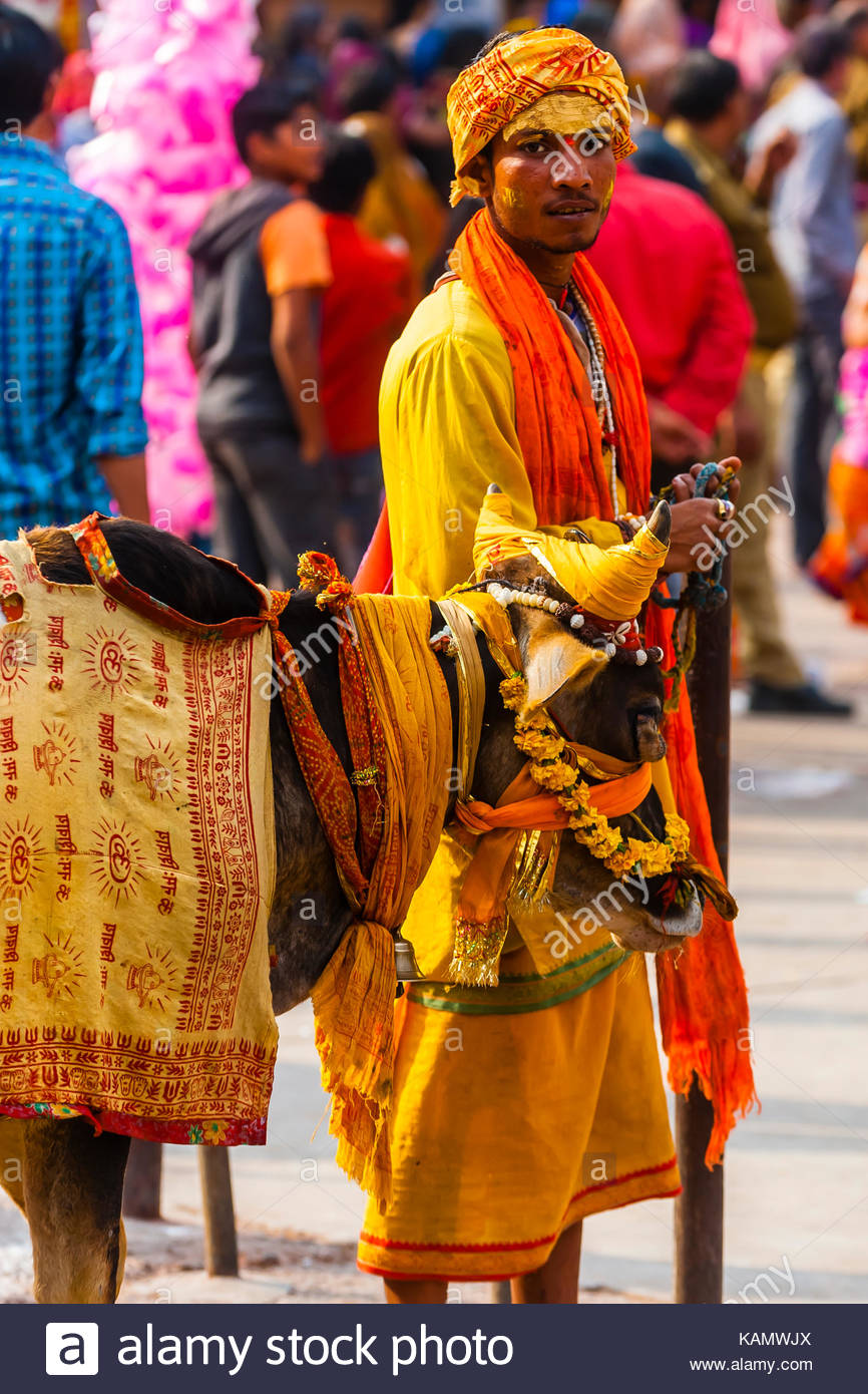 Indian Cow Festival Stock Photos & Indian Cow Festival Stock Images - Alamy