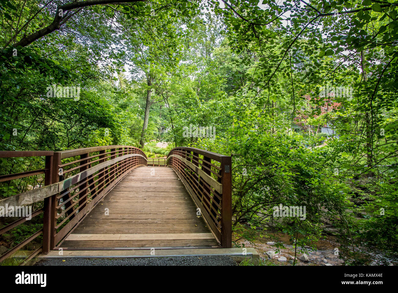 Forest rope bridge hike hi-res stock photography and images - Alamy
