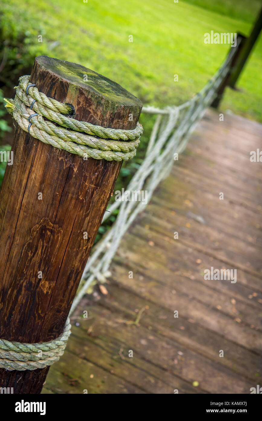 Forest rope bridge hike hi-res stock photography and images - Alamy