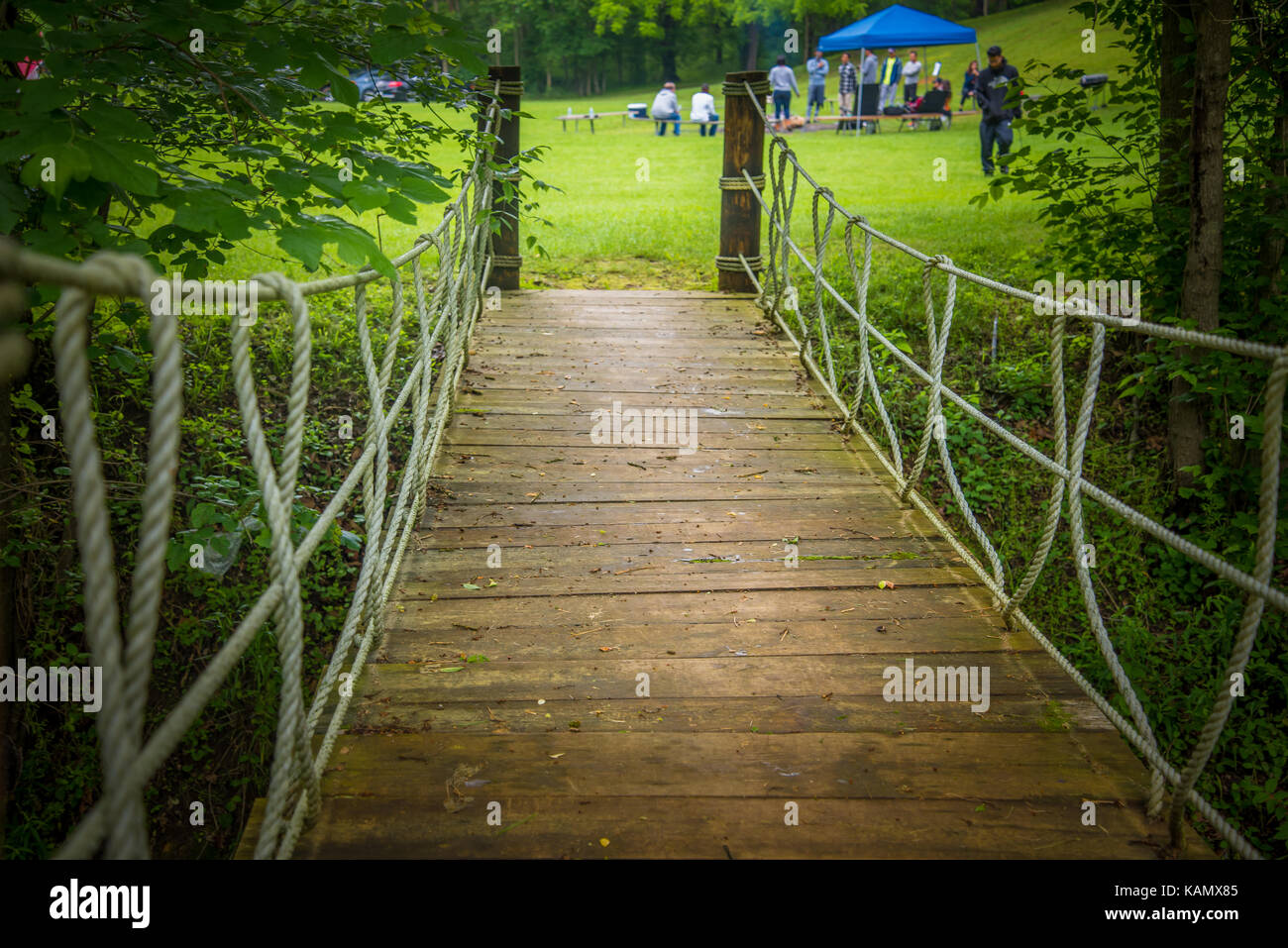 Forest rope bridge hike hi-res stock photography and images - Alamy