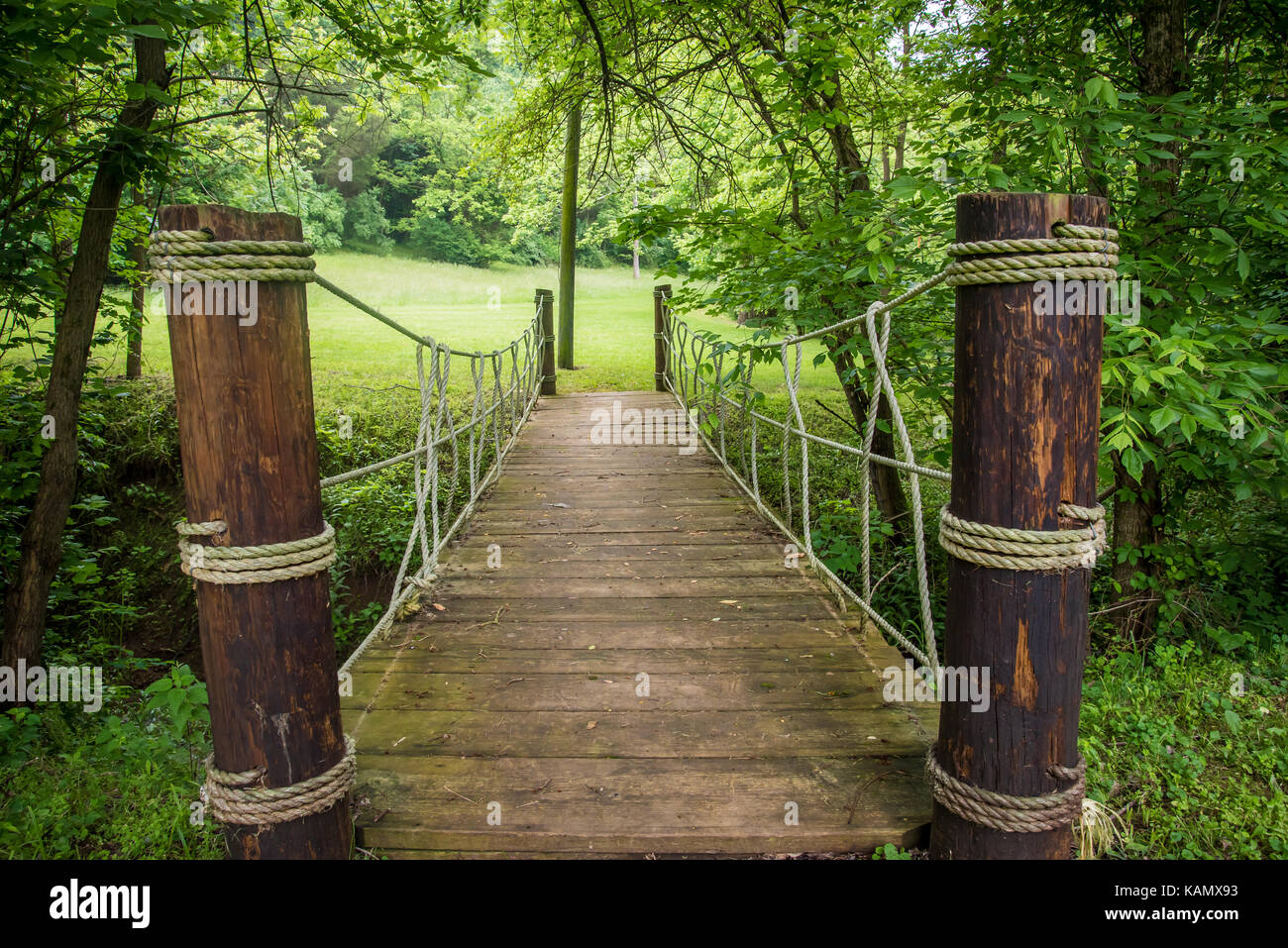 Forest rope bridge hike hi-res stock photography and images - Alamy