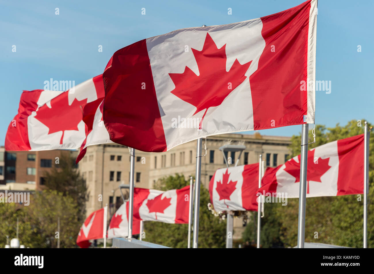 Canada flags hi-res stock photography and images - Alamy