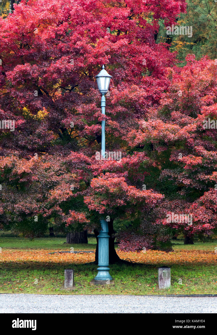 Classic street lamp hi-res stock photography and images - Alamy